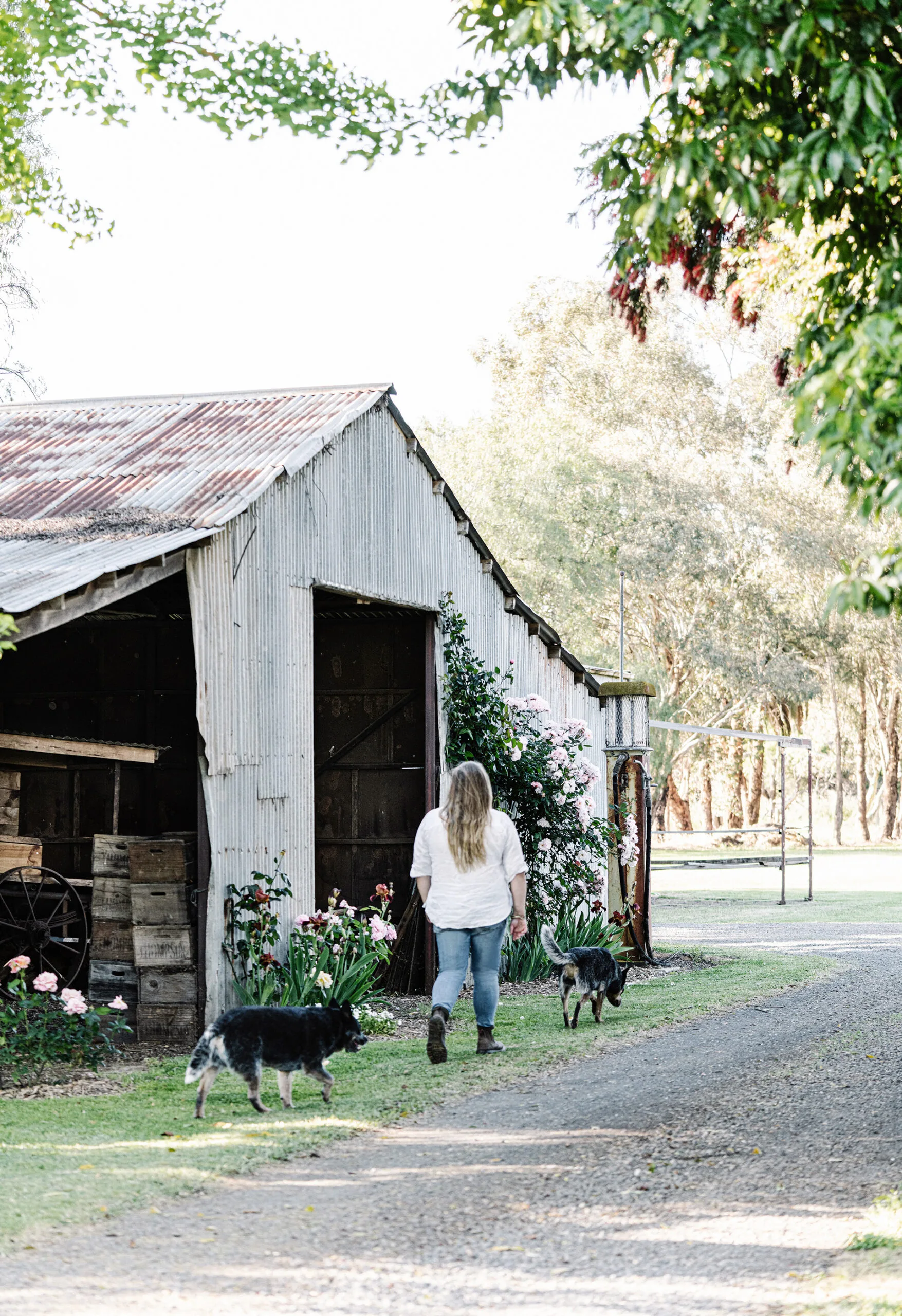 Tour The Farmstead Tatura in Goulburn Valley, Victoria