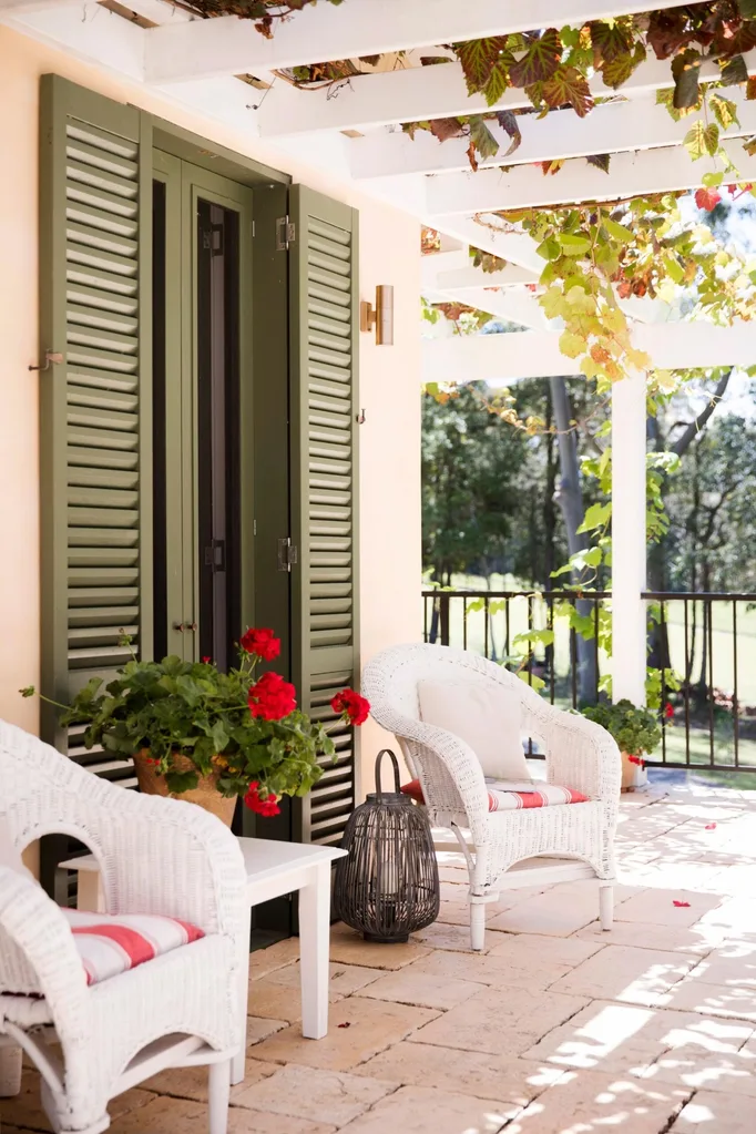 Grapevines: A Step-By-Step Guide On How To Grow