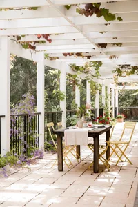 Grapevines: A Step-By-Step Guide On How To Grow