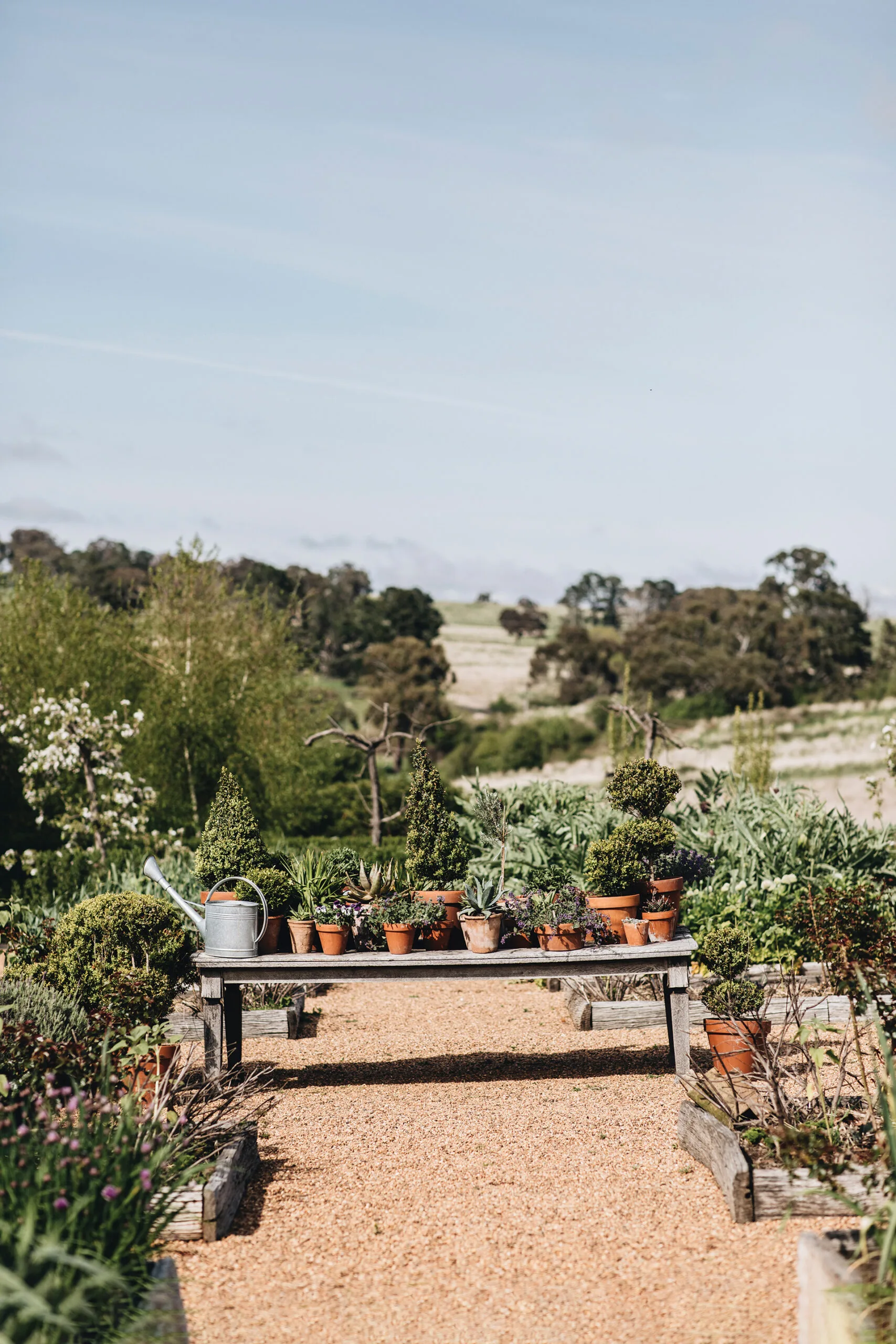 Steve Cordony's idyllic country garden at Rosedale Farm