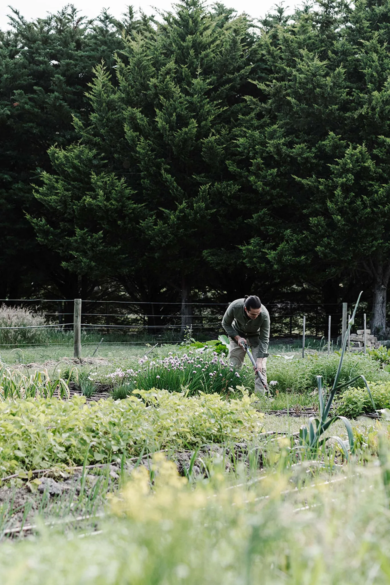 10 Vegie Patch Ideas To Inspire A Green Thumb