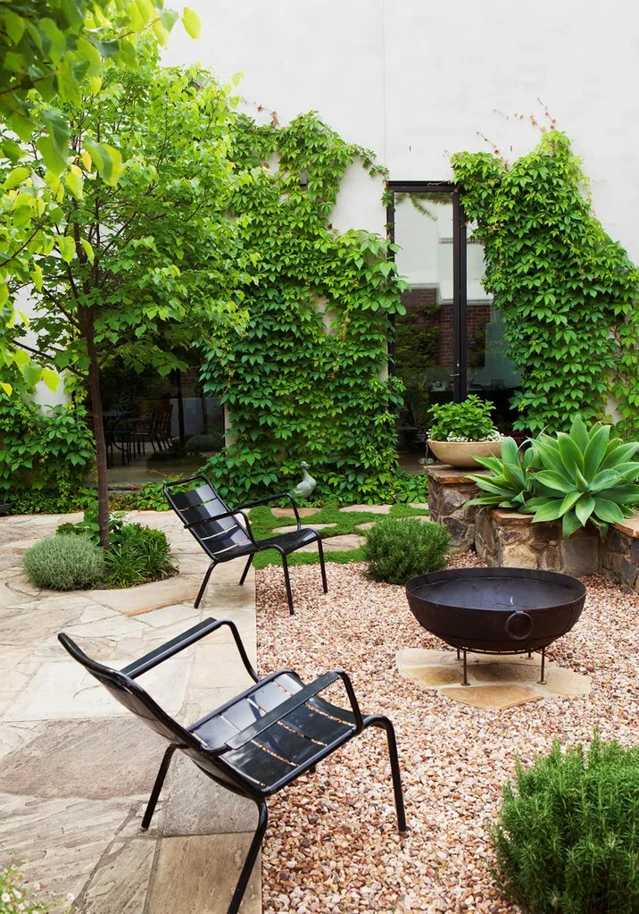 Climbing Plants: 8 Fast-Growing Creepers For Australian Gardens | Homes ...
