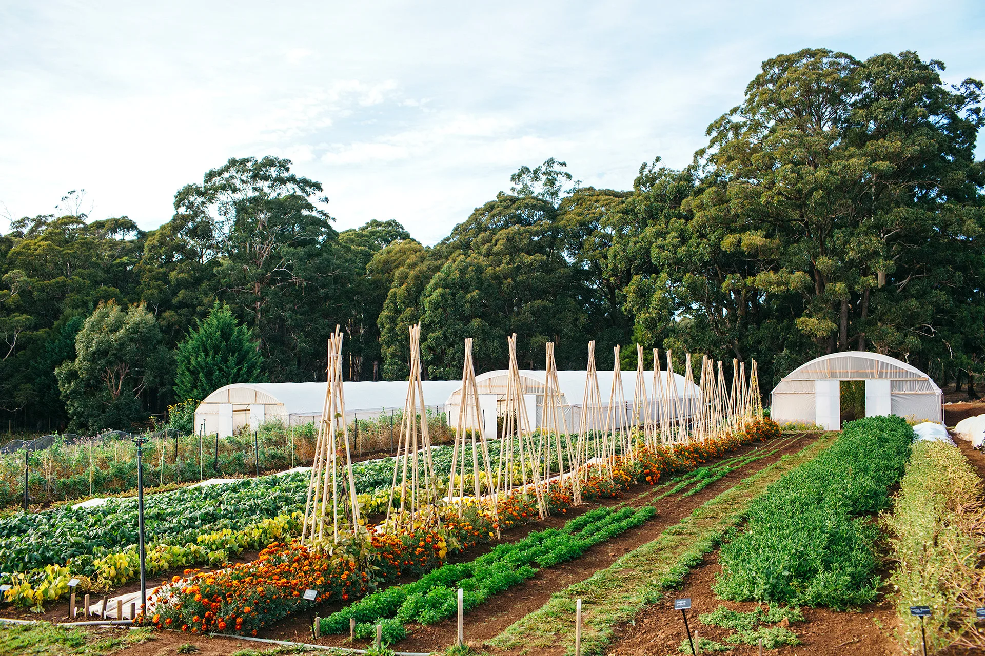 Inside Dairy Flat Farm Accommodation In Daylesford