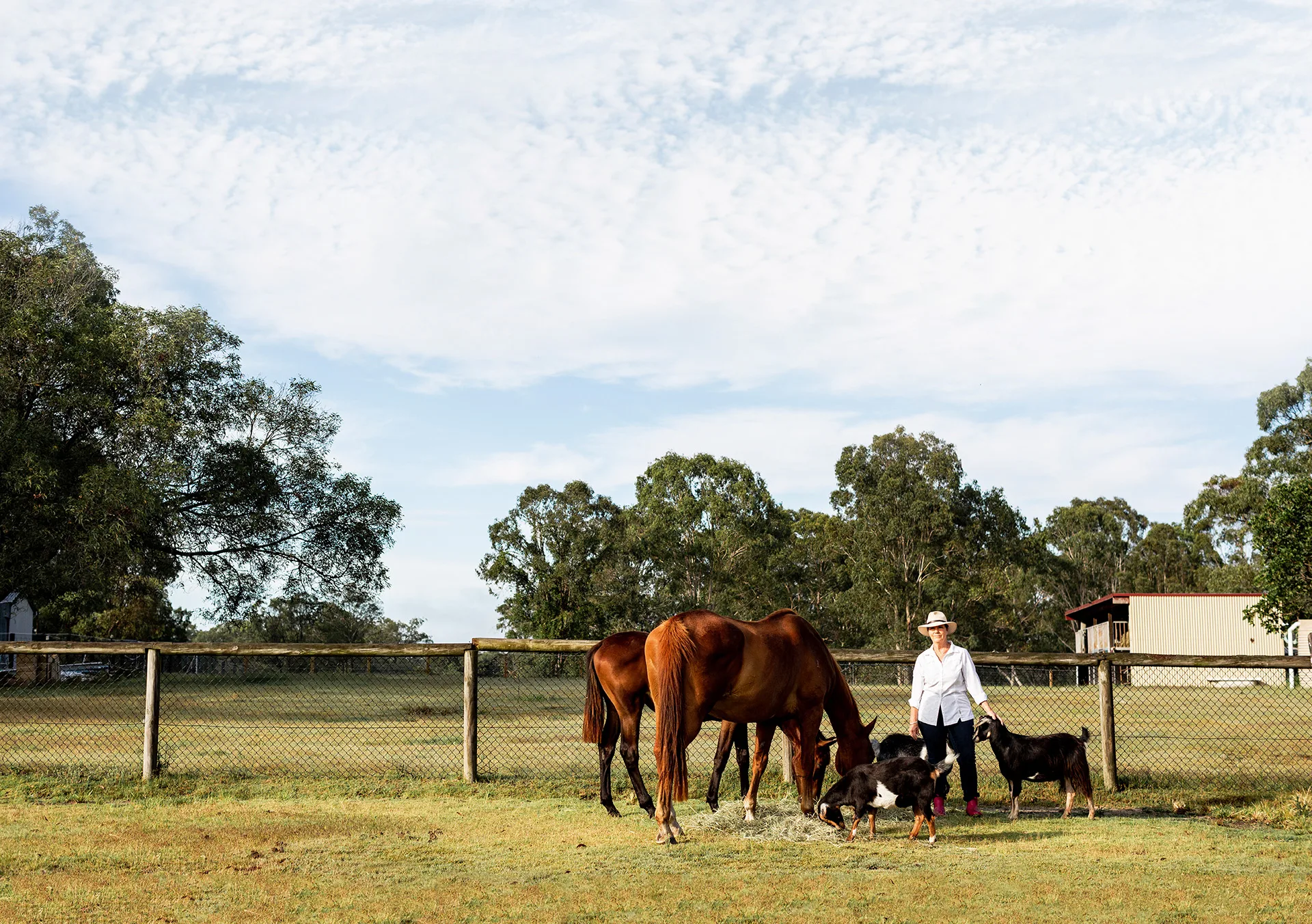 Inside An American-Inspired Farmhouse In Canungra, QLD