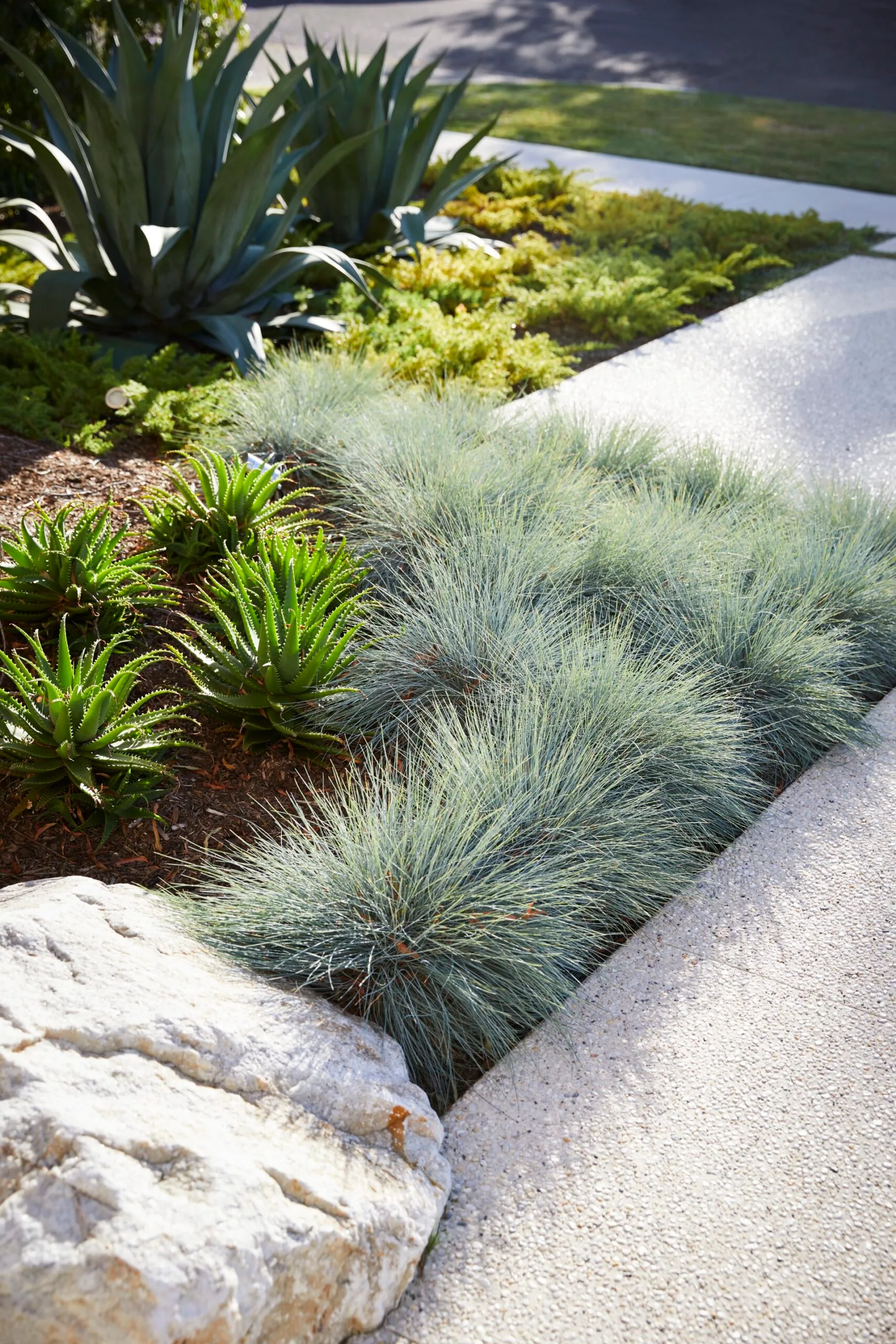 A Sculptural Garden In Sydney By Outdoor Establishments