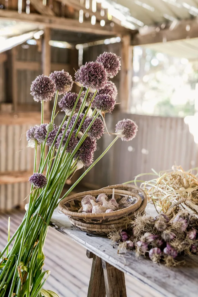 Tenterfield Creek Organics Is A Farm For The Future