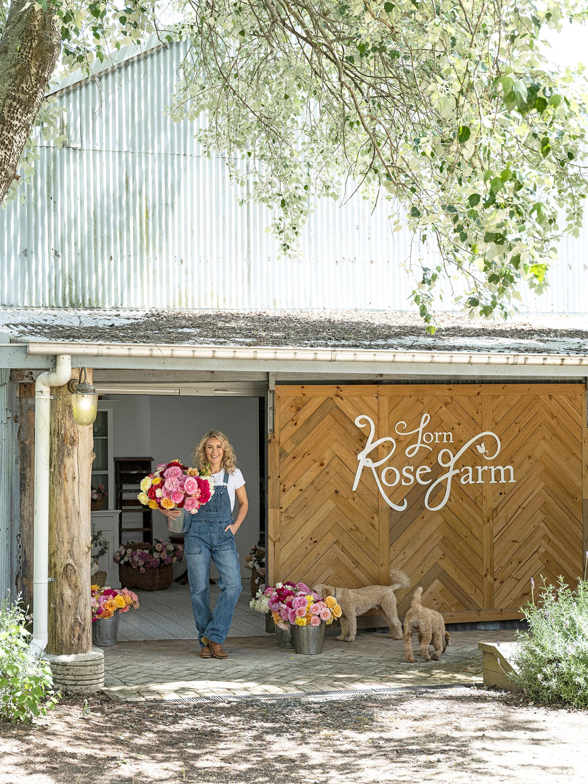 Lorn Rose Farm NSW: Explore Stunning Floral Landscapes