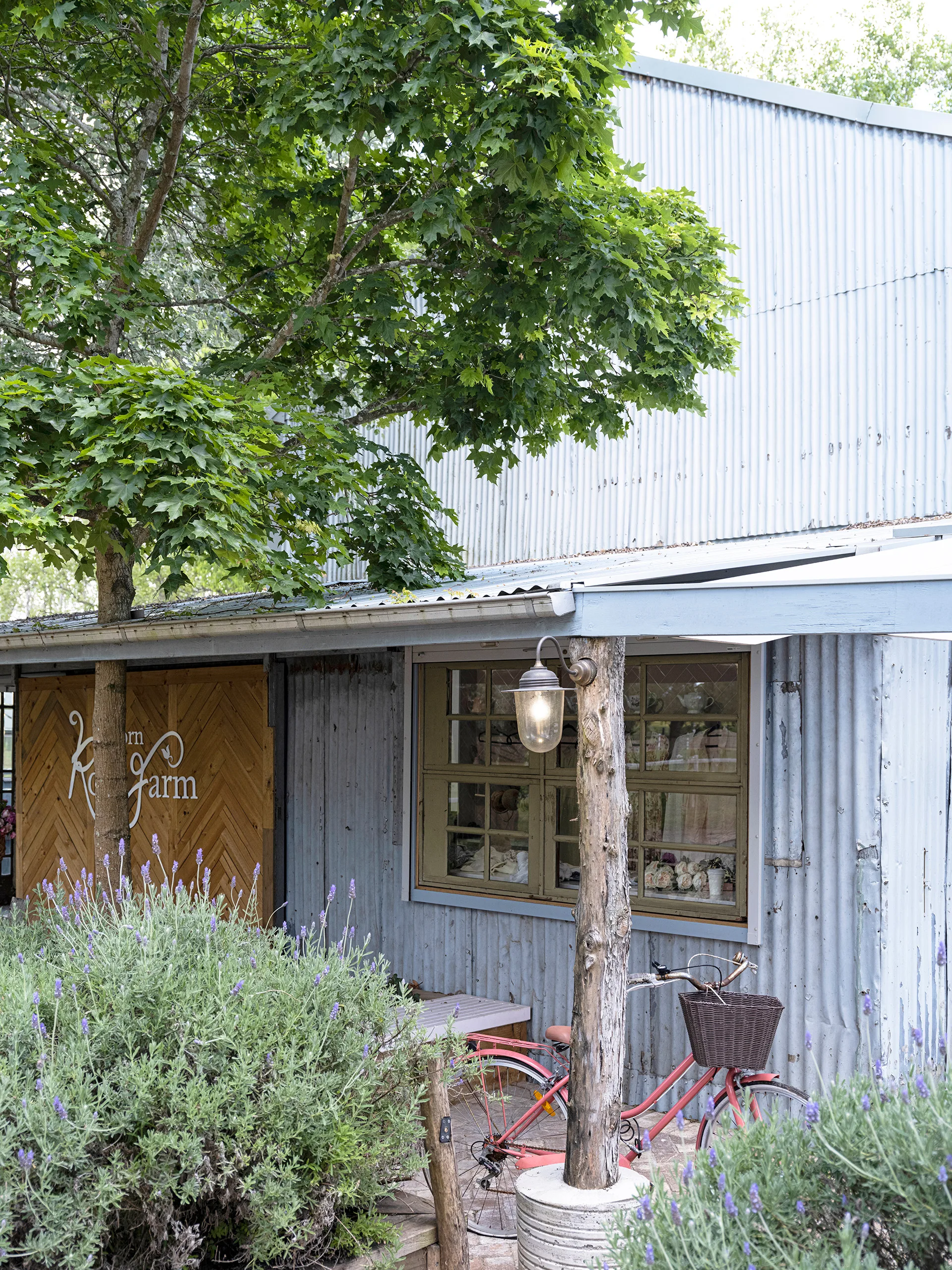 Lorn Rose Farm NSW: Explore Stunning Floral Landscapes