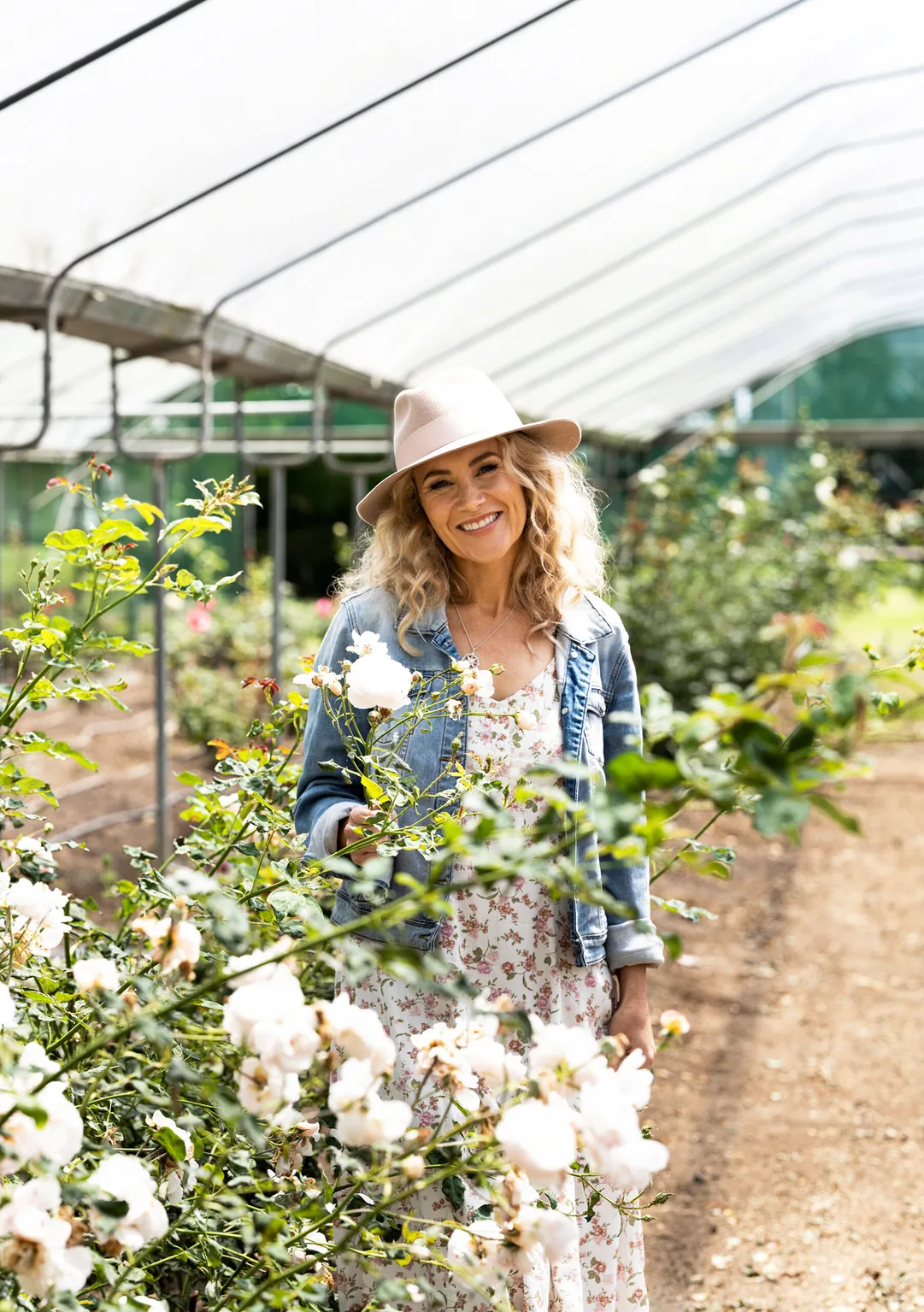 Lorn Rose Farm NSW: Explore Stunning Floral Landscapes