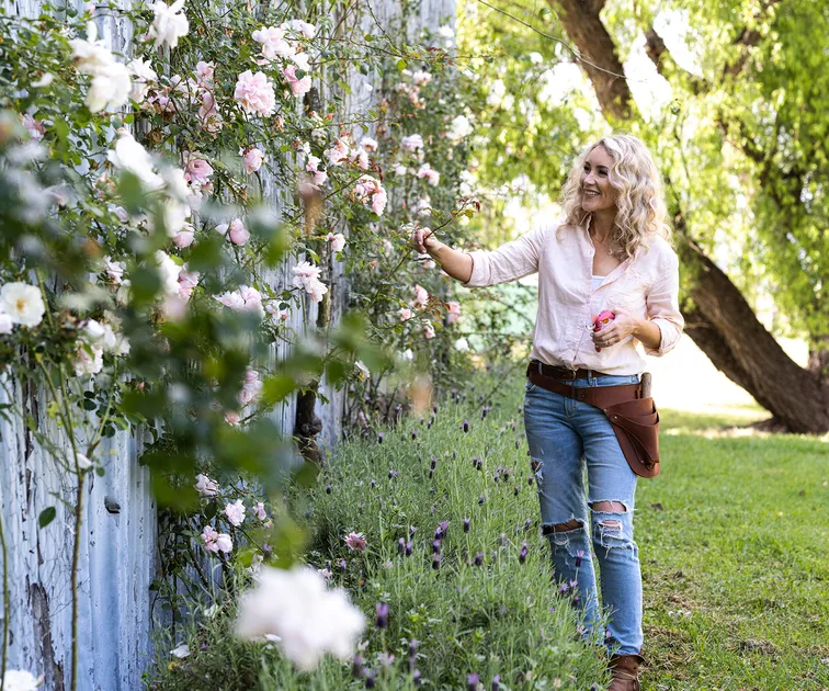 Lorn Rose Farm NSW: Explore Stunning Floral Landscapes