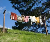 Avoid These 5 Common Washing Line Mistakes
