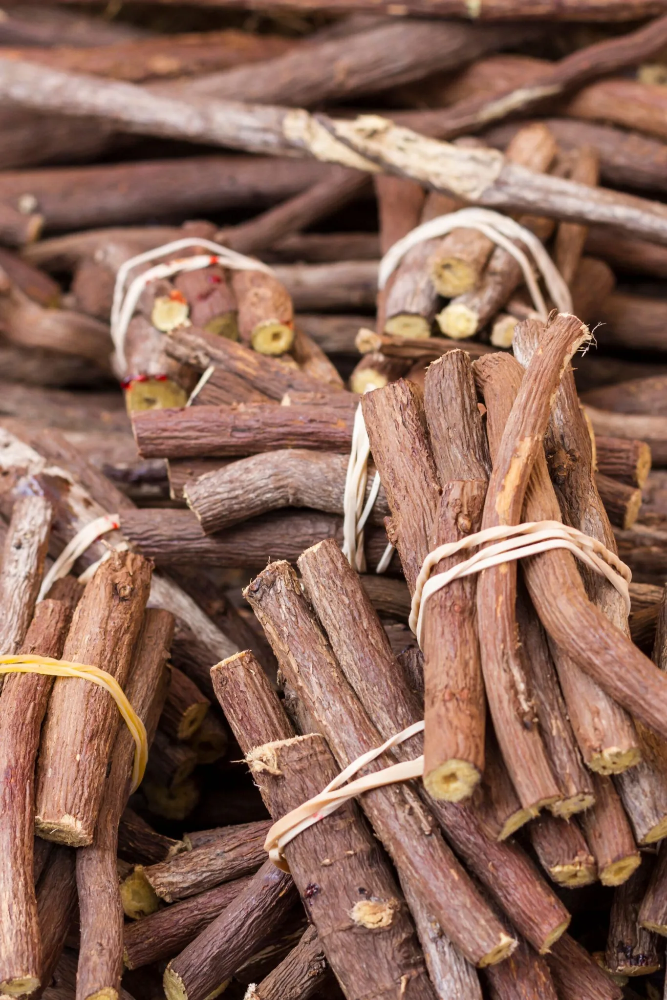 Licorice Plant: How To Grow This Medicinal Herb At Home