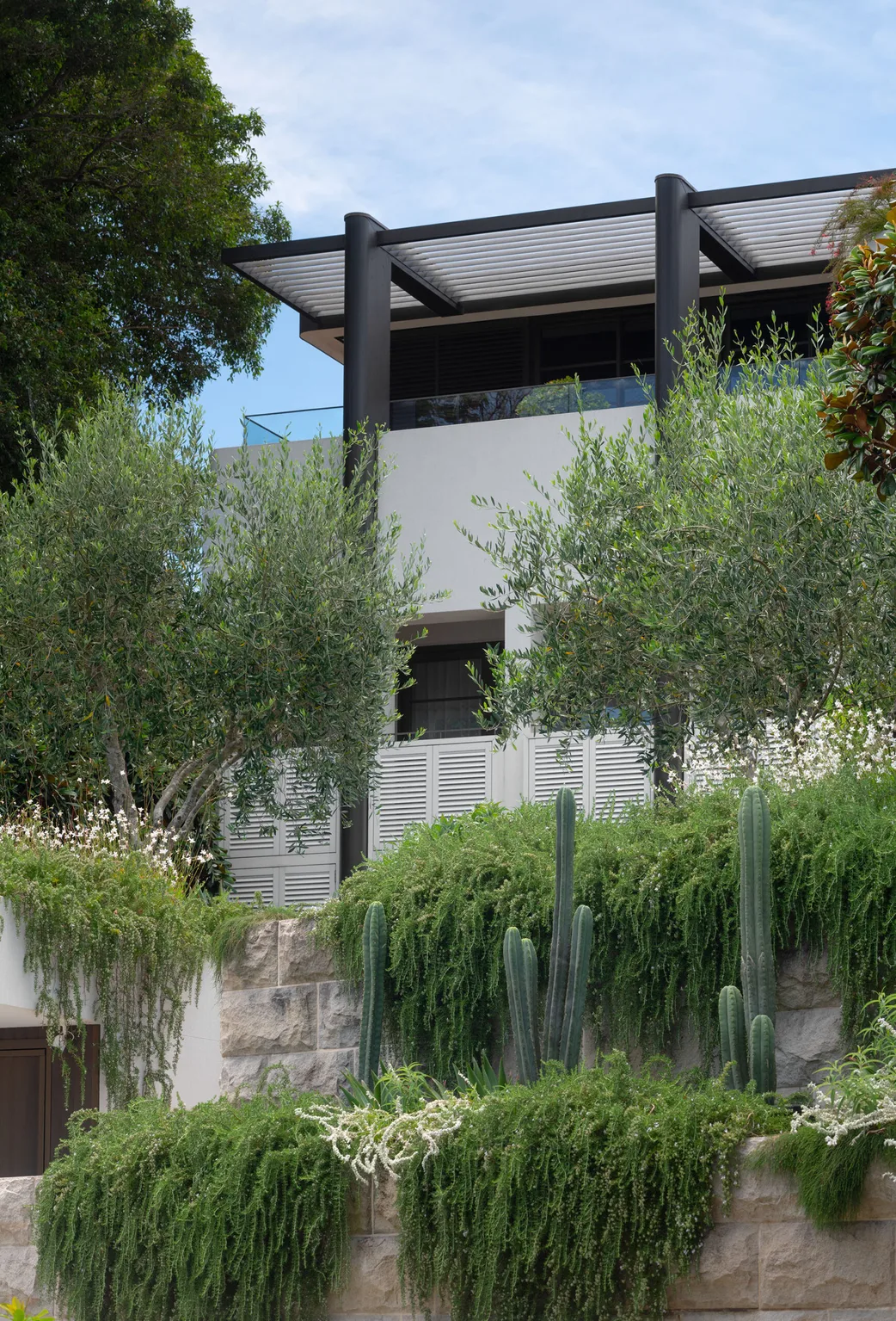 A Freeform Garden In East Sydney