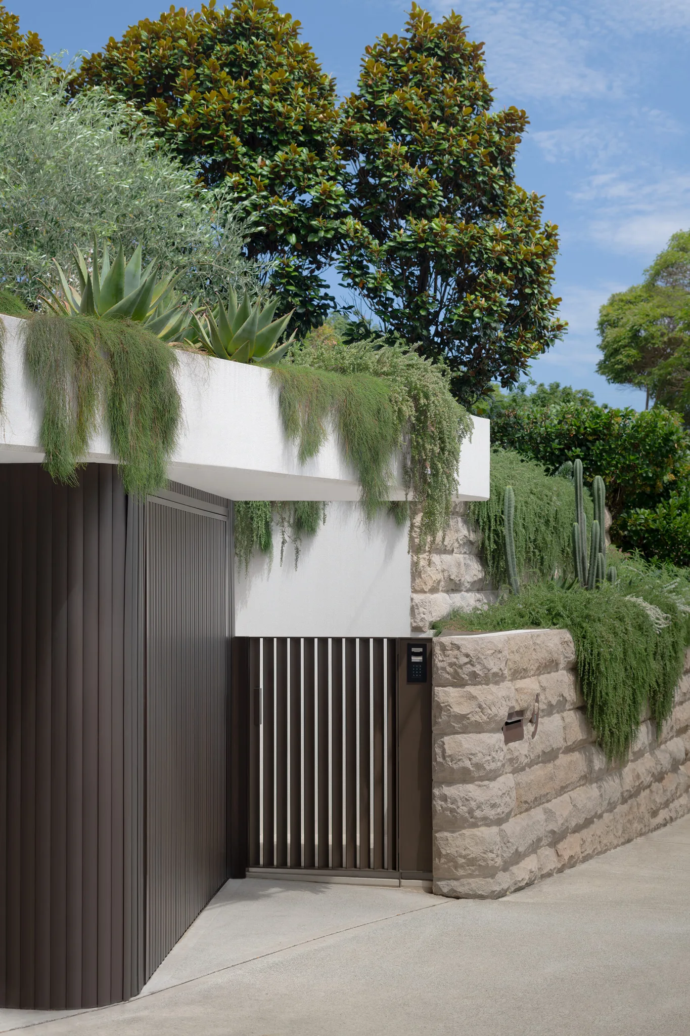 A Freeform Garden In East Sydney