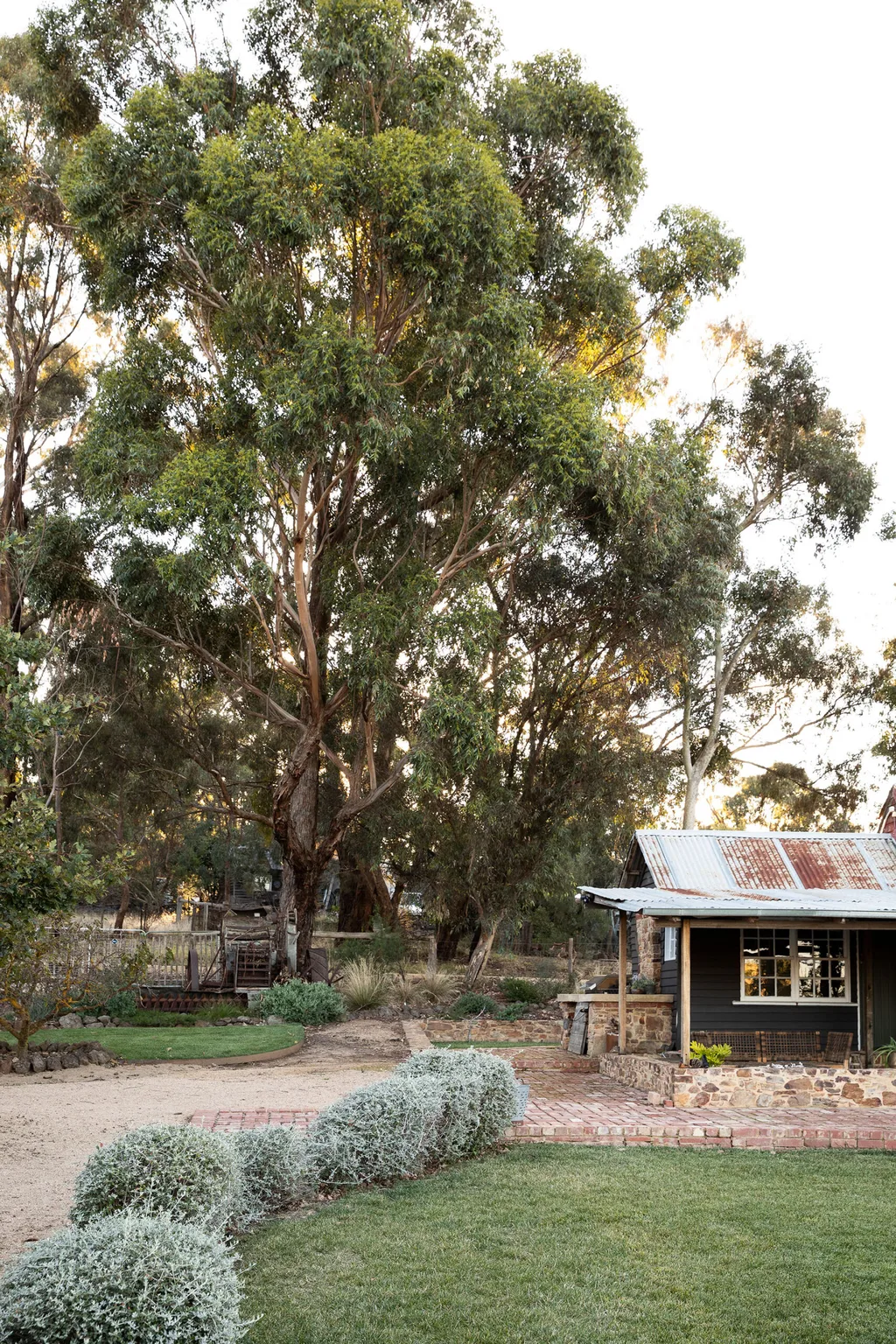 A Naturalistic Garden In Yandoit, Victoria | Homes To Love