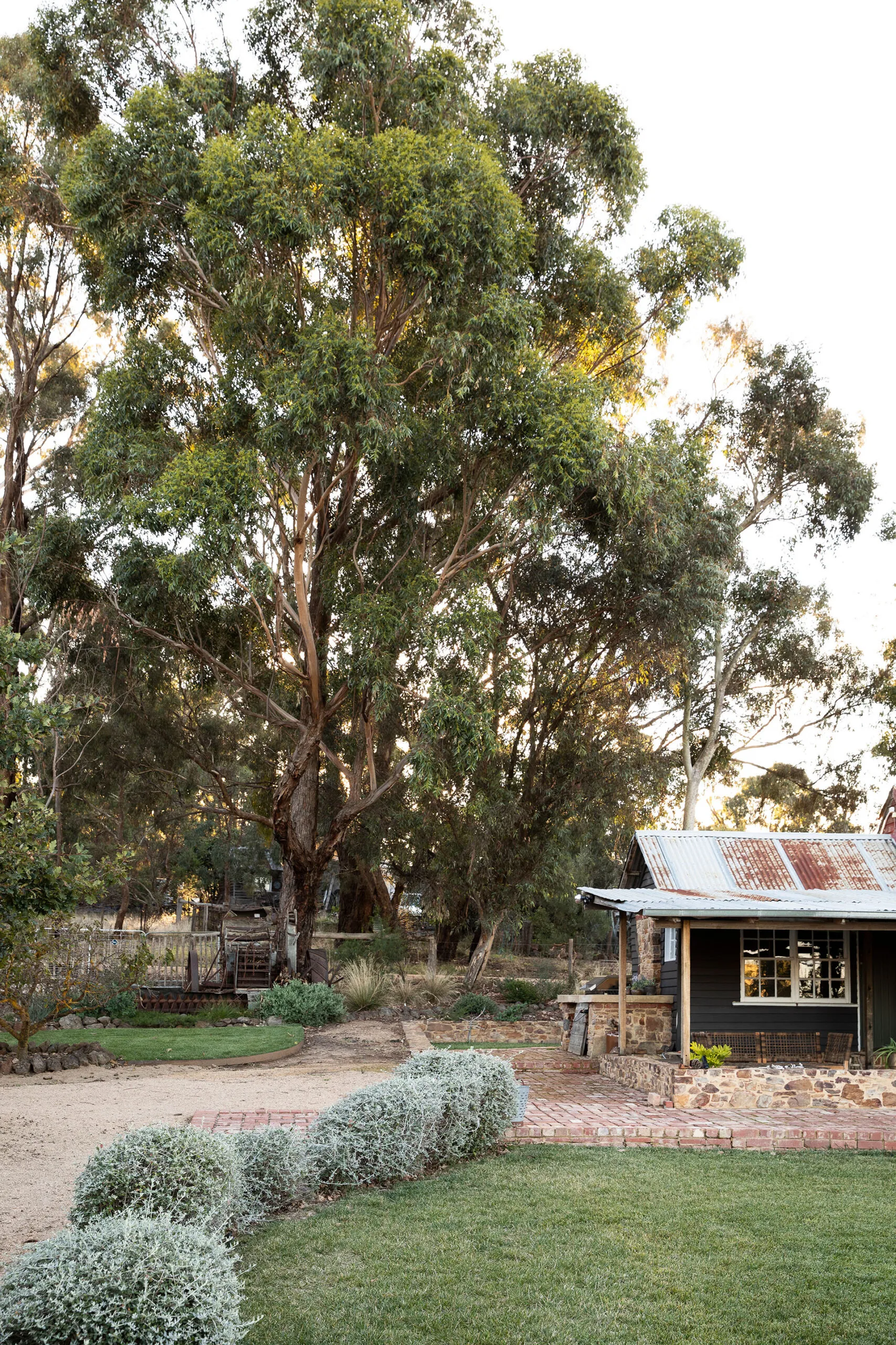 A Naturalistic Garden In Yandoit, Victoria | Homes To Love