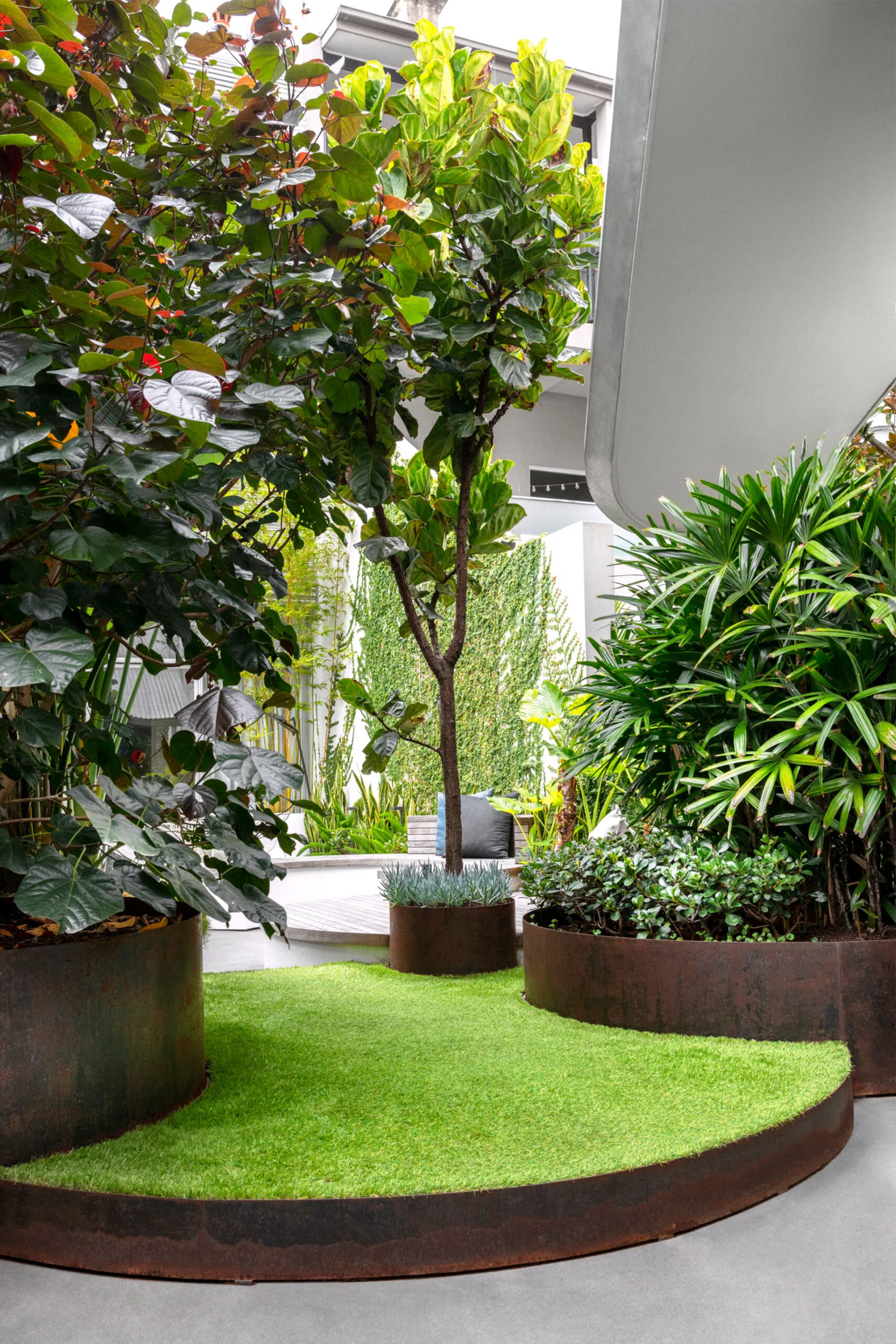A Concrete Terrace Transformed Into A Lush Urban Oasis
