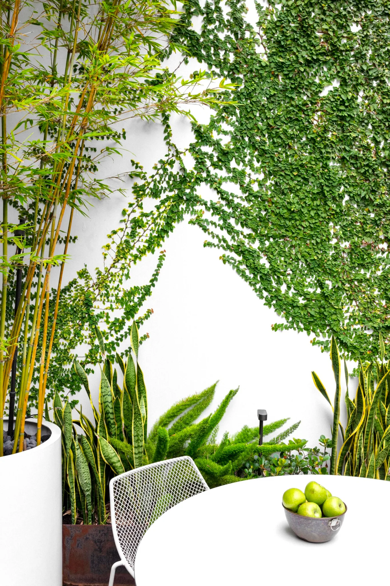 A Concrete Terrace Transformed Into A Lush Urban Oasis