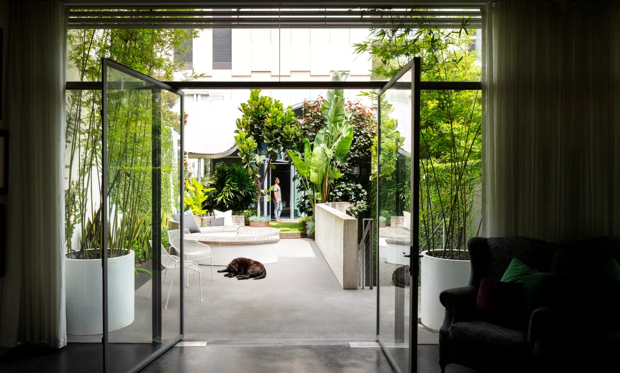 A Concrete Terrace Transformed Into A Lush Urban Oasis