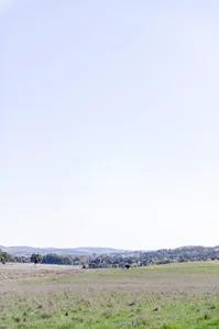 Molong NSW: Things To Do, Where To Stay And To Eat