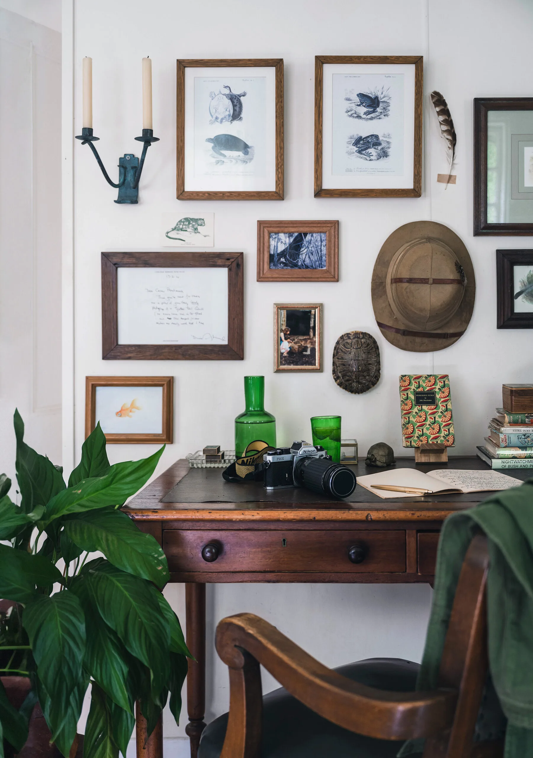 A Rainforest Home In Mount Glorious, Queensland
