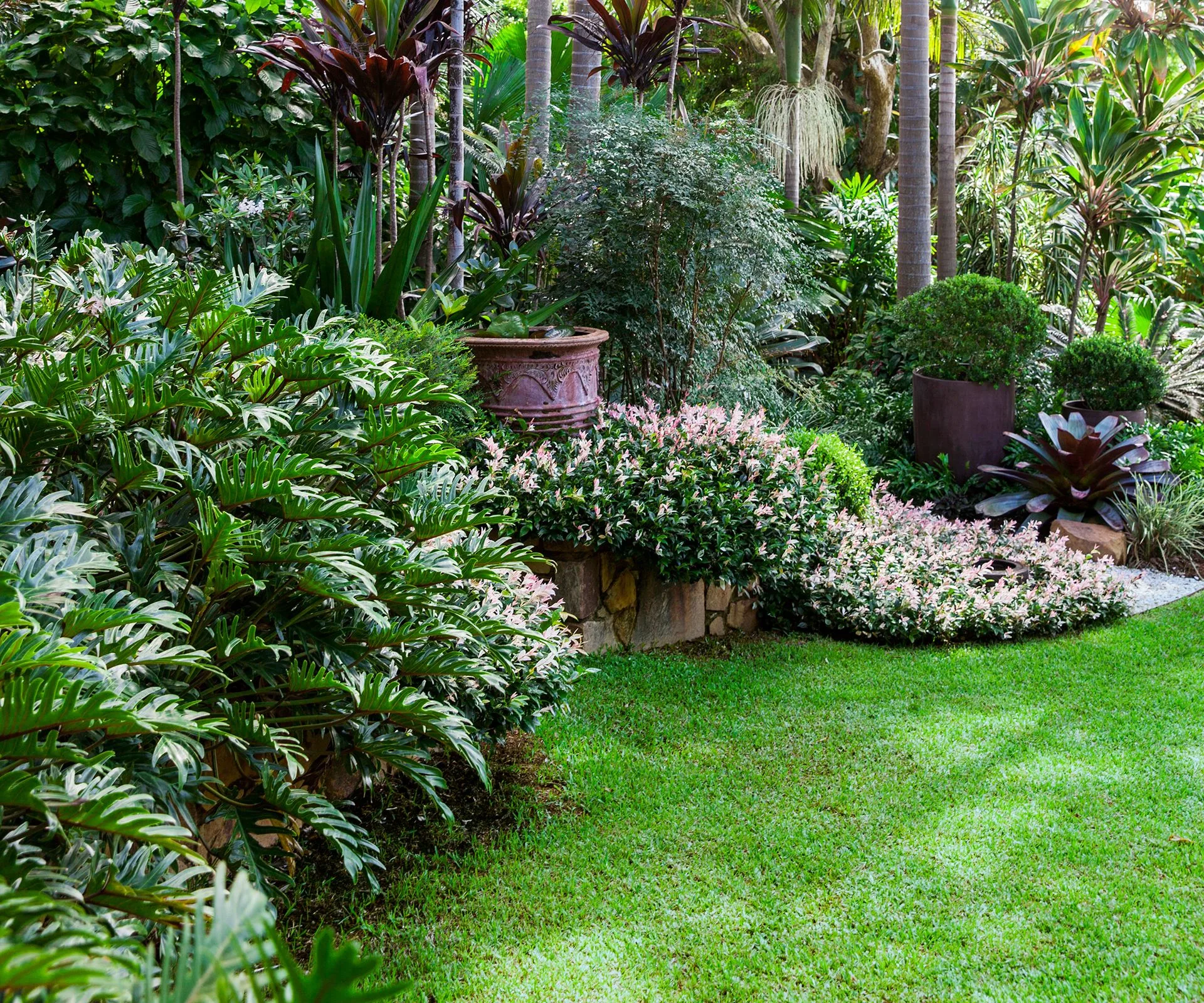 5 Of The Best Types Of Grass and Lawn In Australia
