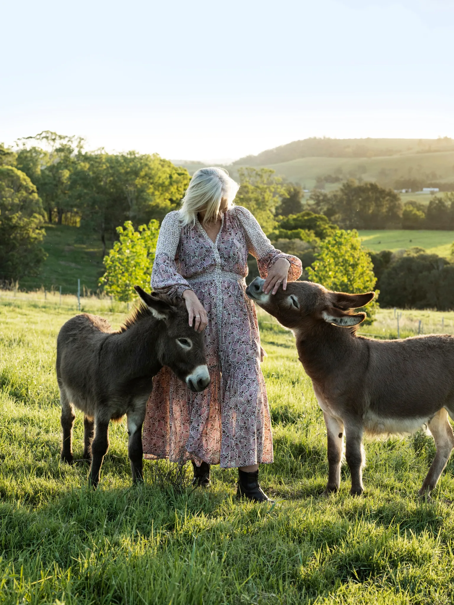Wander Rocky Hill Miniature Donkey Farm
