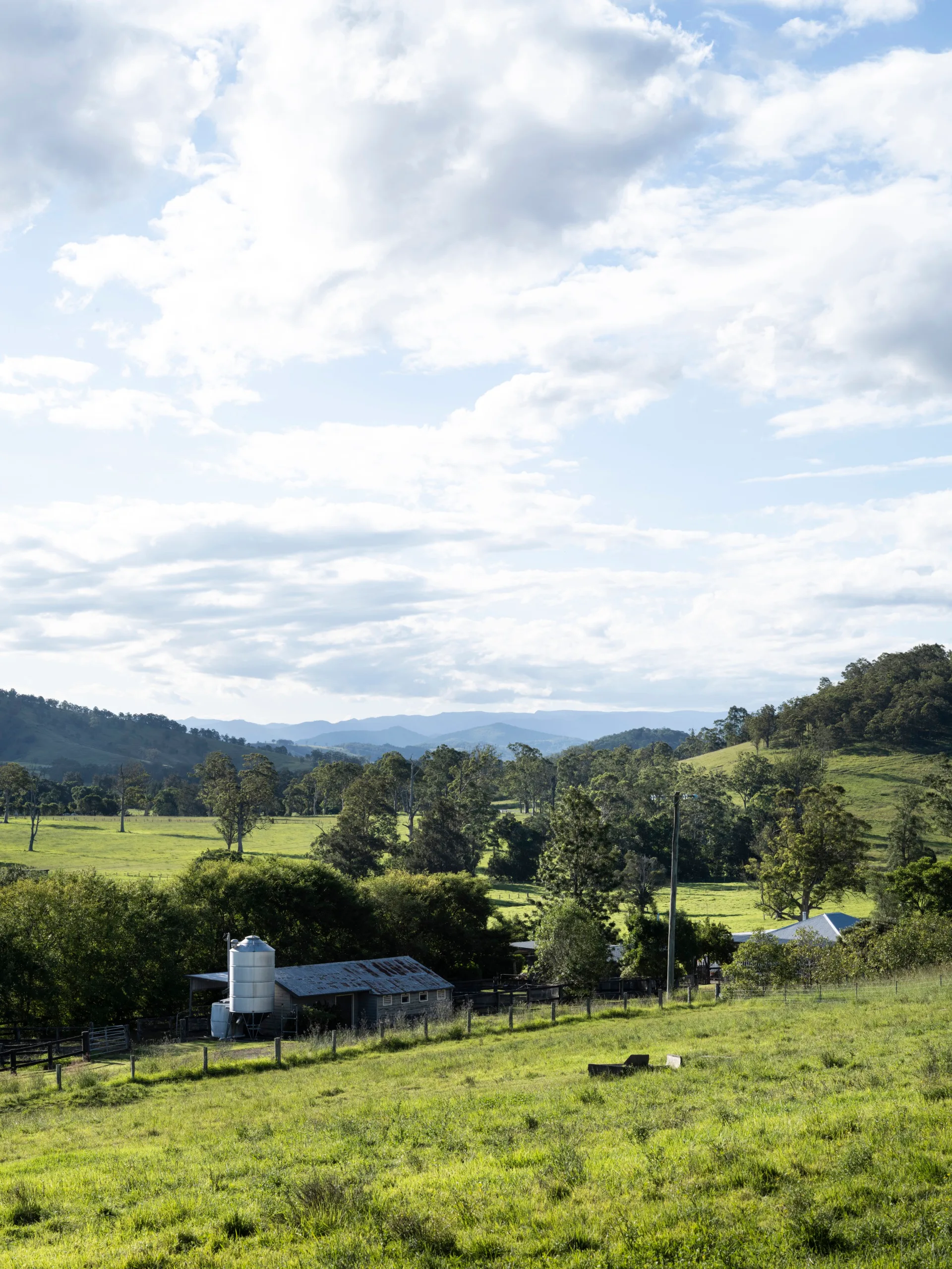 Wander Rocky Hill Miniature Donkey Farm