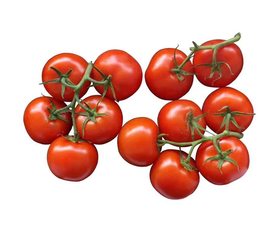 Tomato Types Australia: 11 Best Varieties To Grow