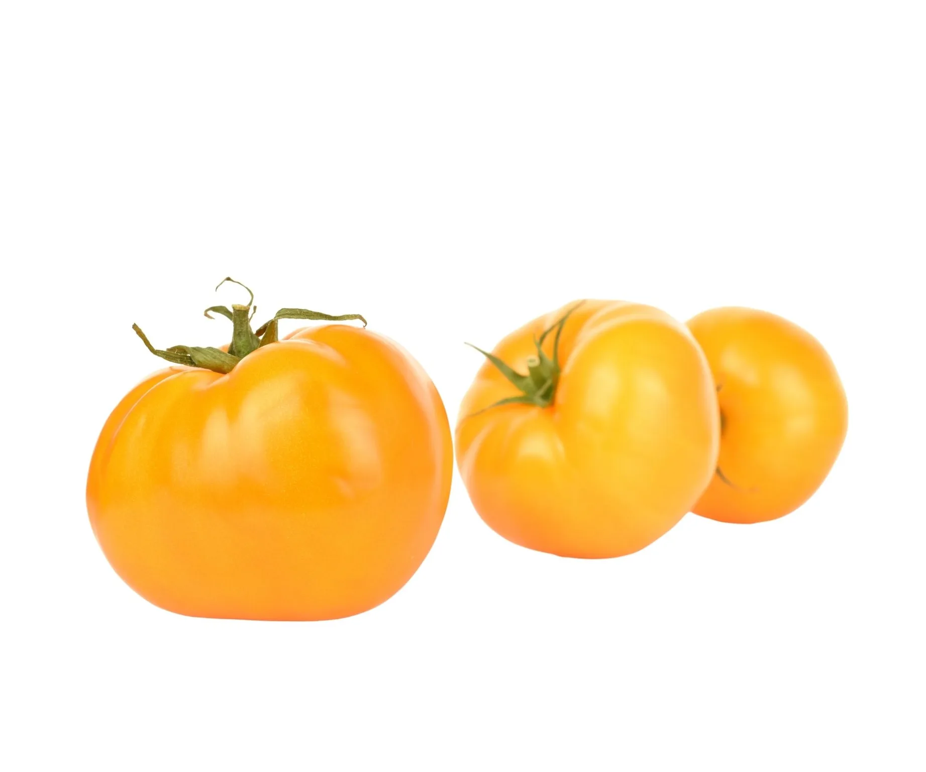 Tomato Types Australia: 11 Best Varieties To Grow
