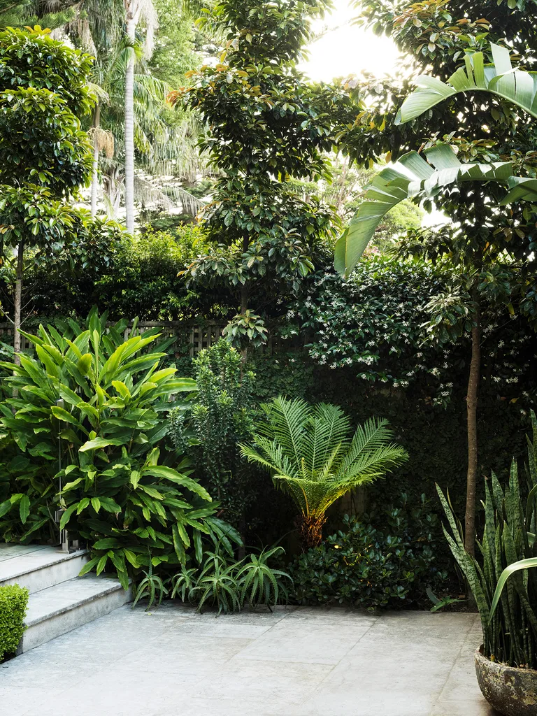 A Tropical Palm-Filled Garden In Eastern Sydney