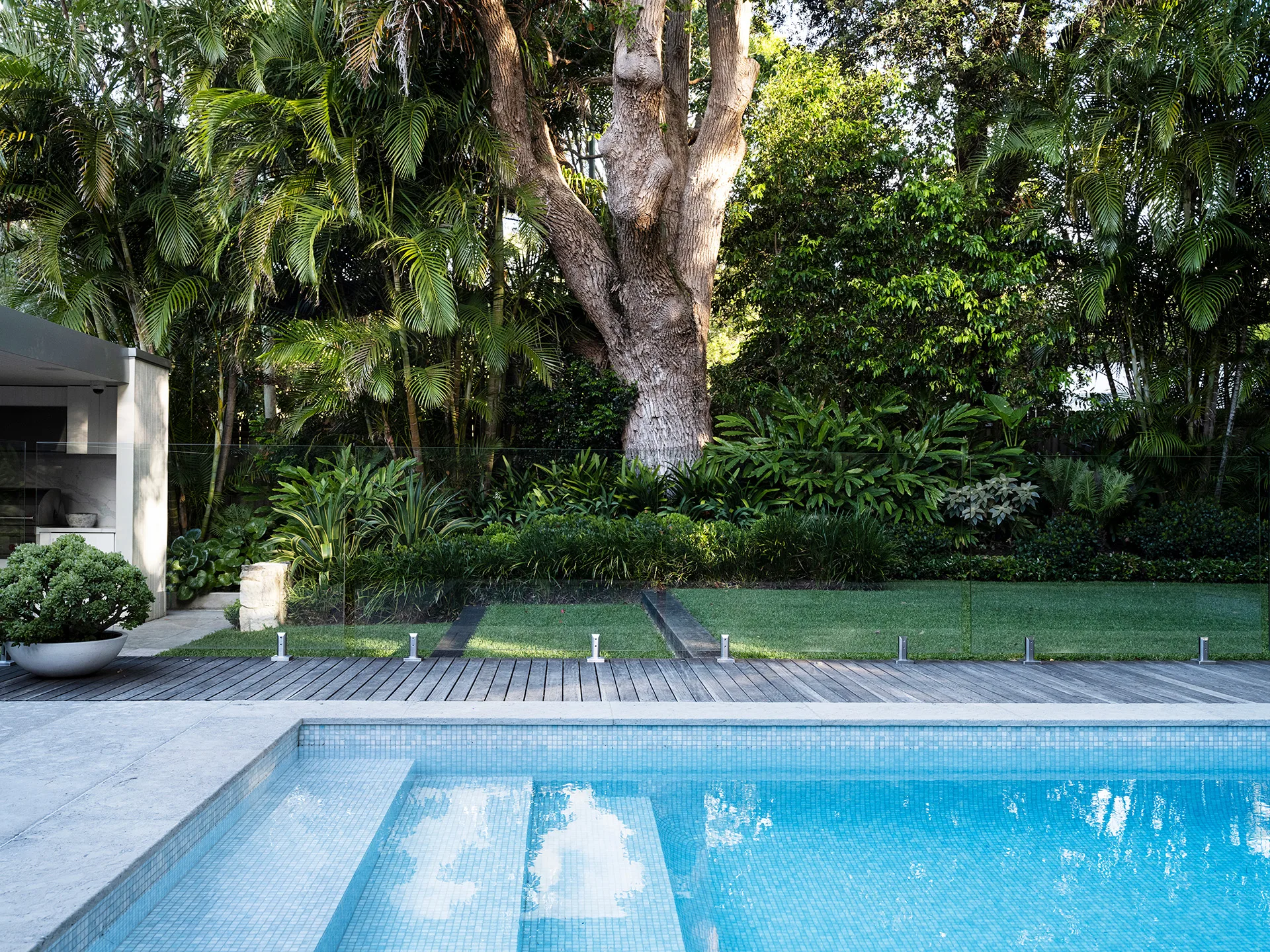 A Tropical Palm-Filled Garden In Eastern Sydney
