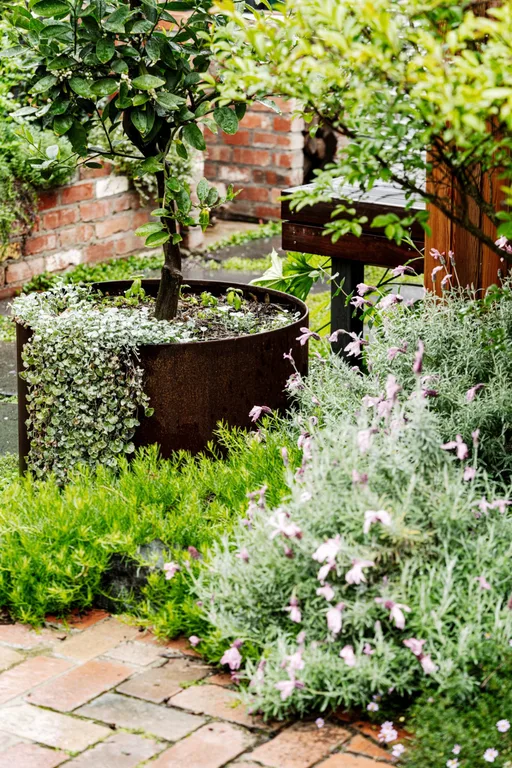 Exotic And Native Plant Garden In Melbourne Home Studio