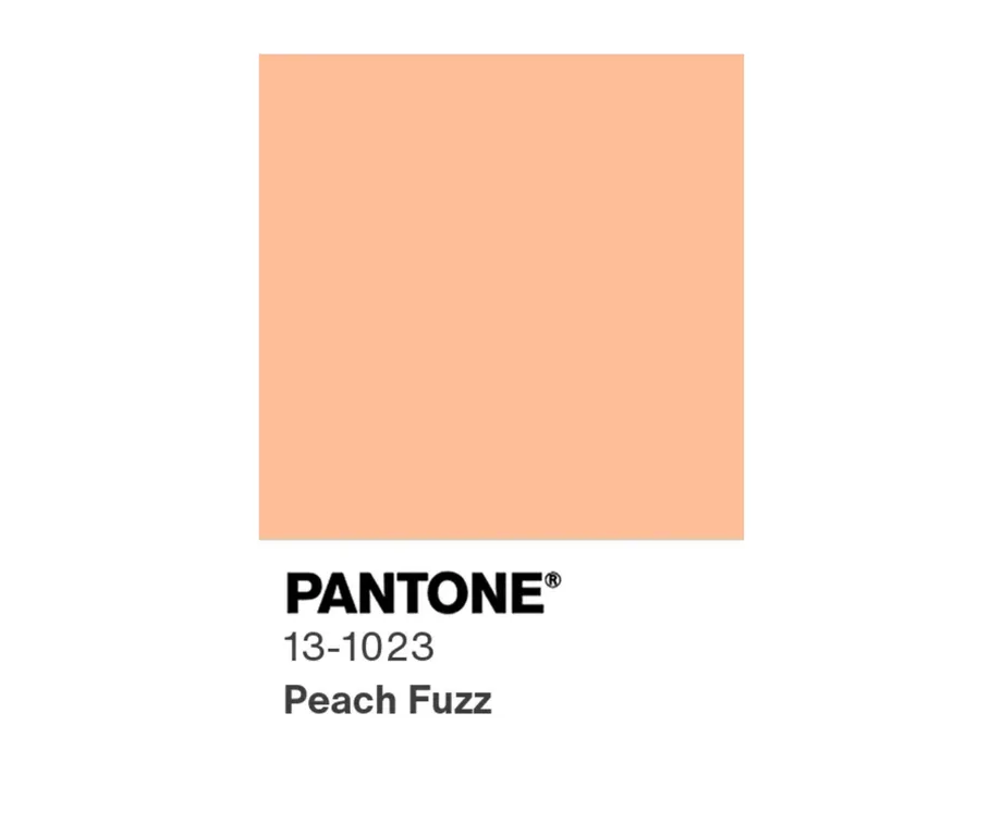 Pantone Colour Of The Year 2024: Peach Fuzz