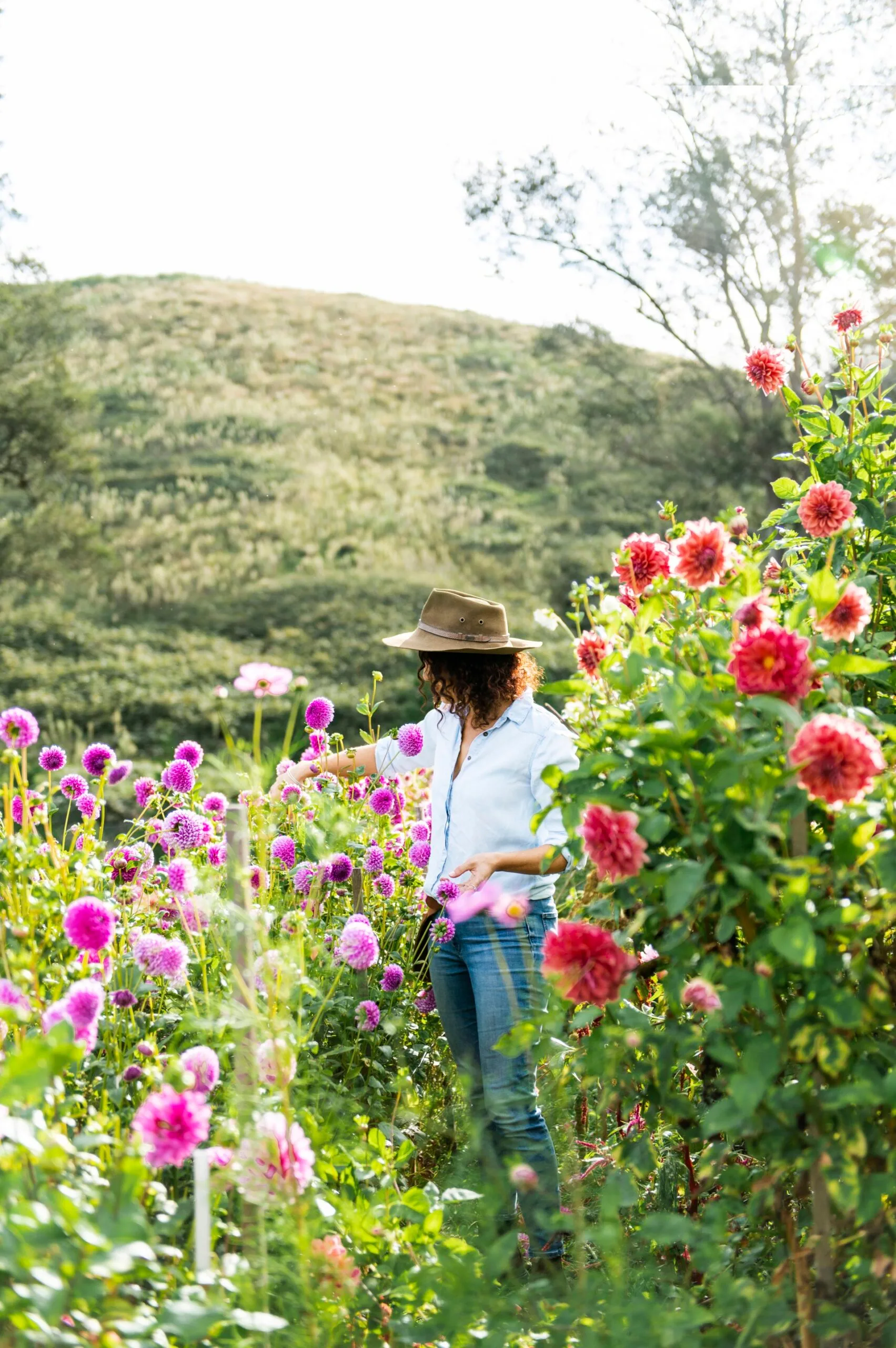 10 Idyllic Flower Farms All Across Australia | Country Style