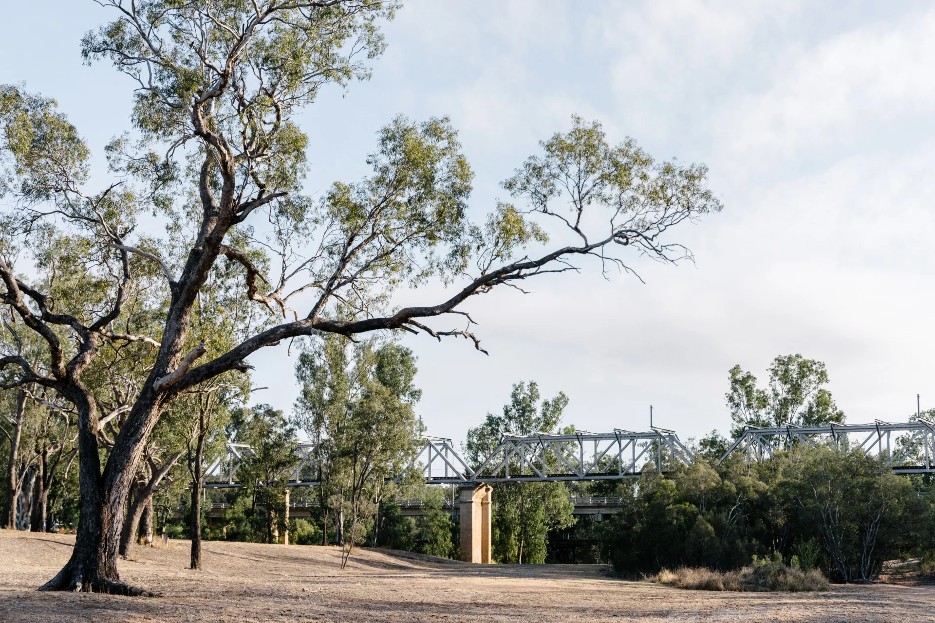 Emerald, Queensland: Where To Shop, Eat, And Stay