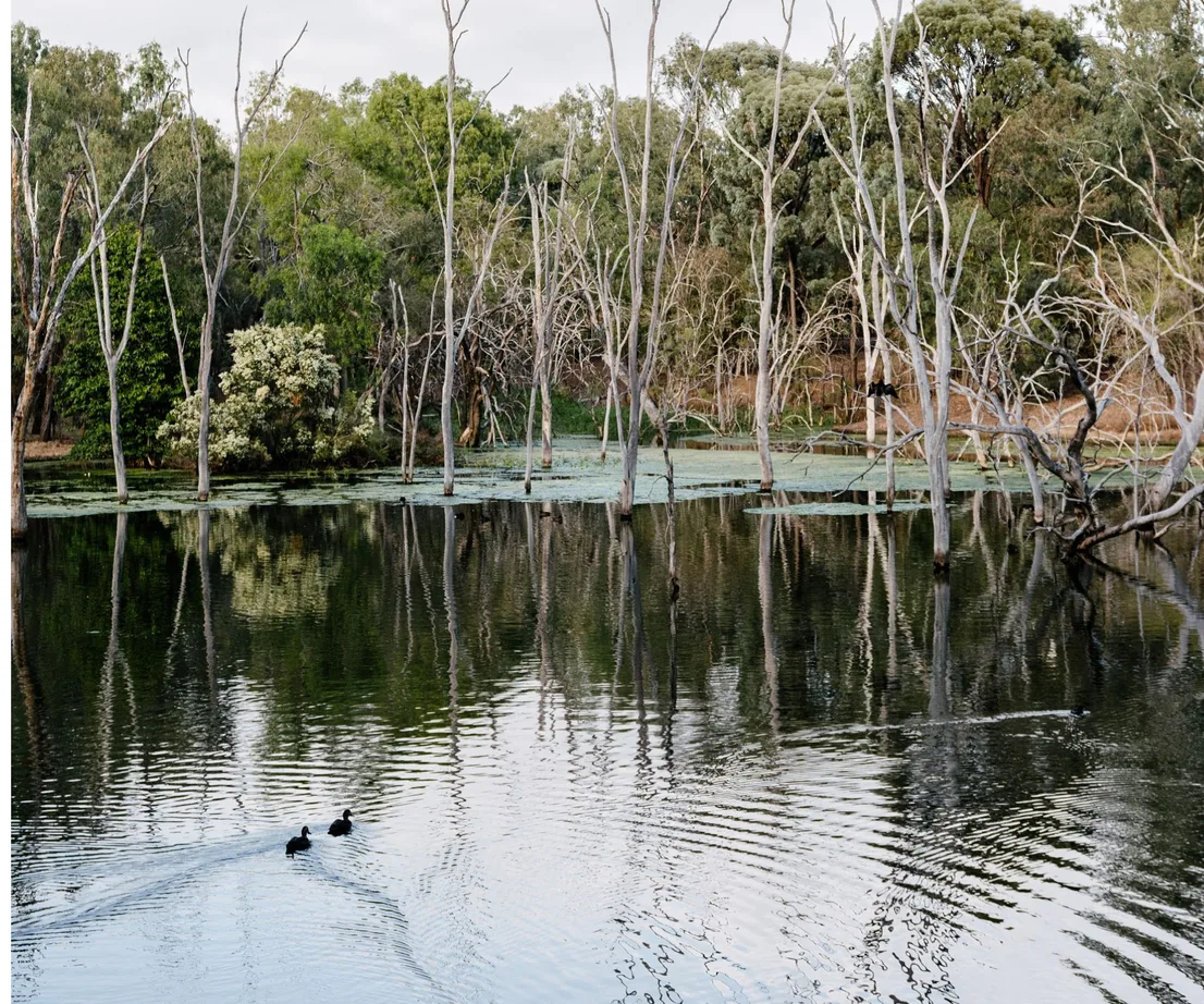 Emerald, Queensland: Where To Shop, Eat, And Stay