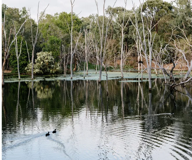 Emerald, Queensland: Where To Shop, Eat, And Stay