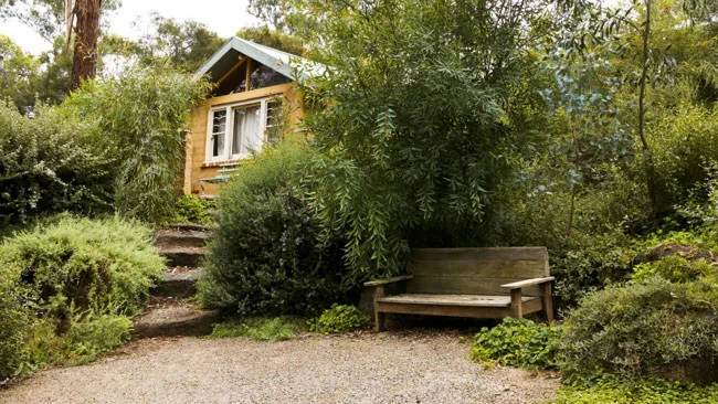 Bush Garden: Embrace Natural and Rustic Beauty