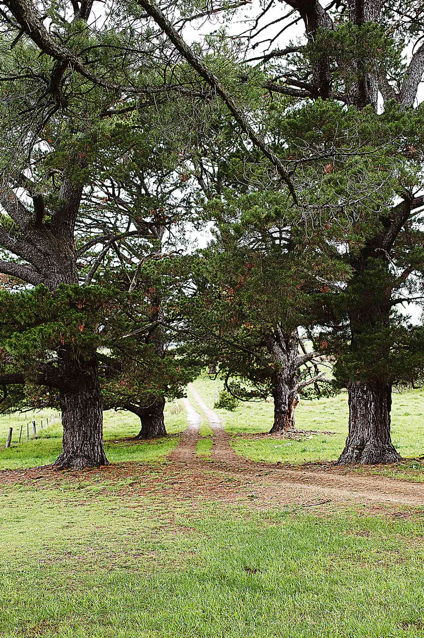 Simmone Logue's home near Oberon, NSW
