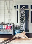 Anna Spiro: Interior designer's colourful Brisbane home
