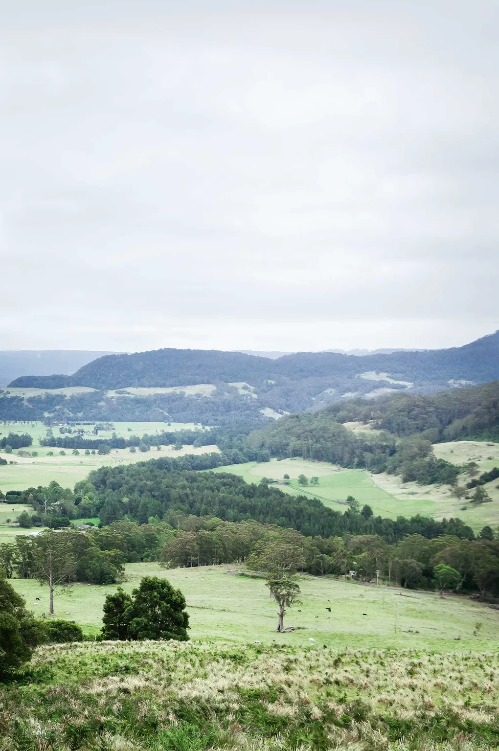 Berry, NSW: 17 Things To Do In This South Coast Town