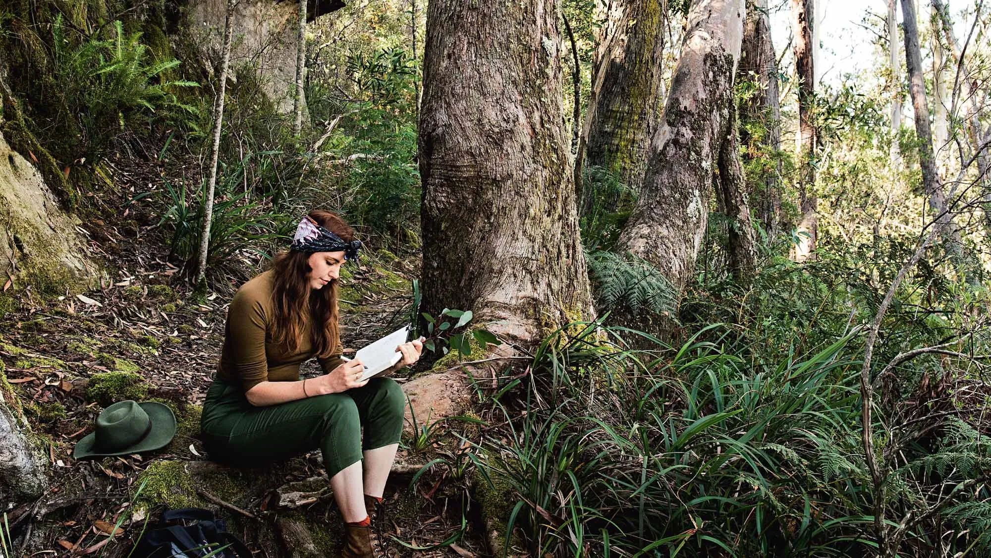 An artist finds inspiration in the Blue Mountains of NSW