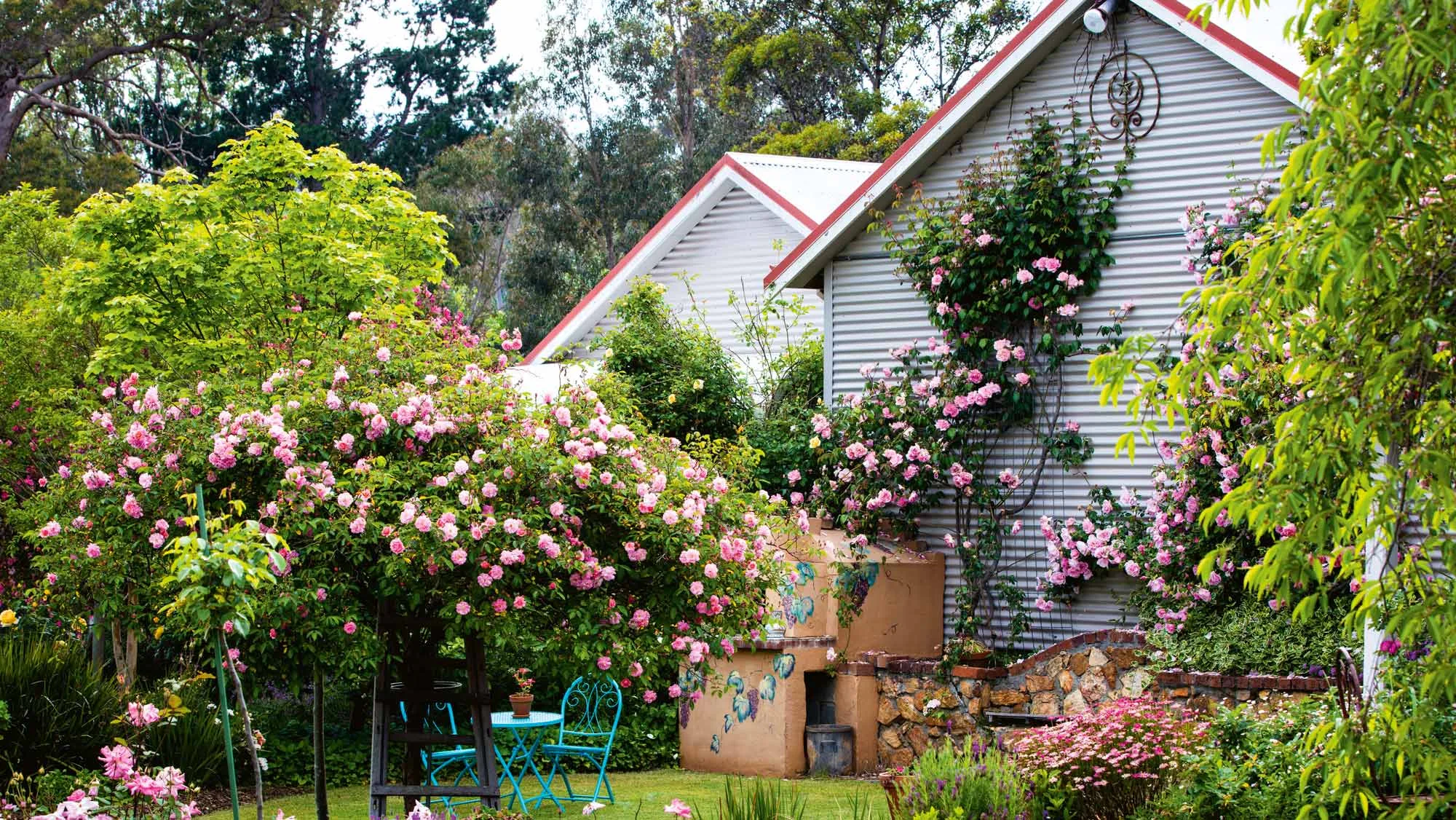 Rose garden ideas: From design to long-term maintenance