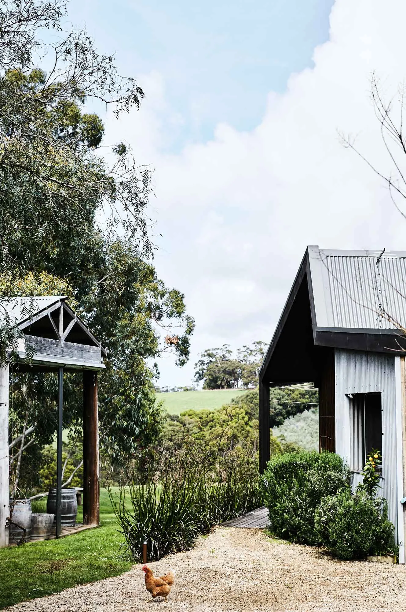 An Australian farmhouse with modern timber extension