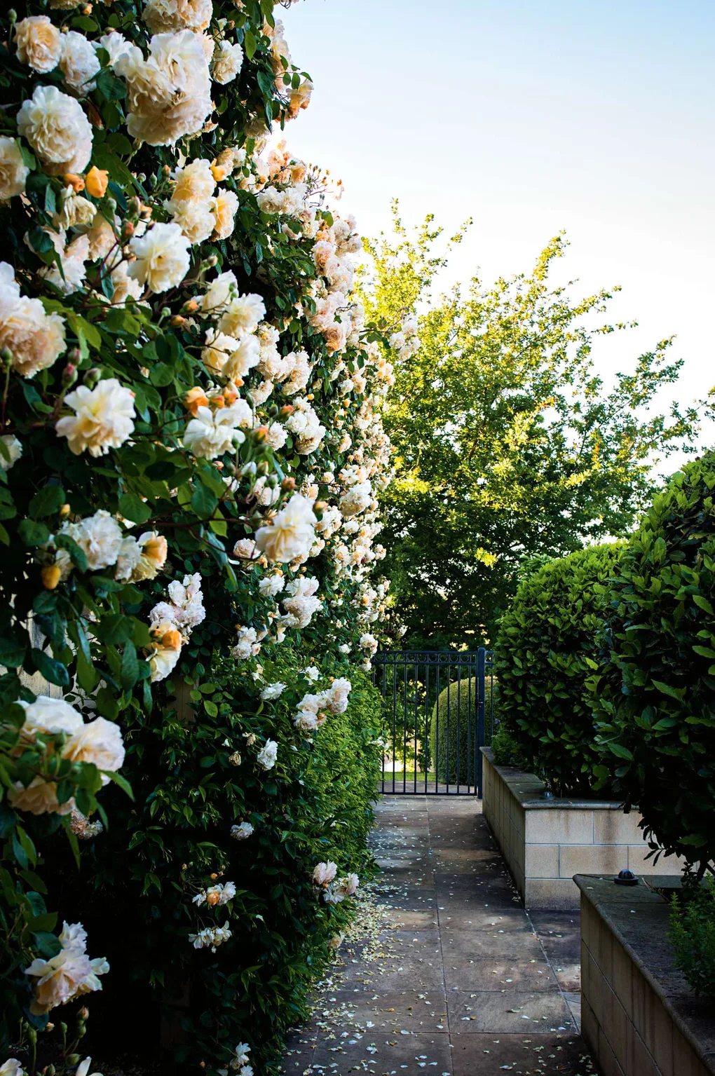Rose Garden Inspiration: 10 Romantic Landscapes To Inspire