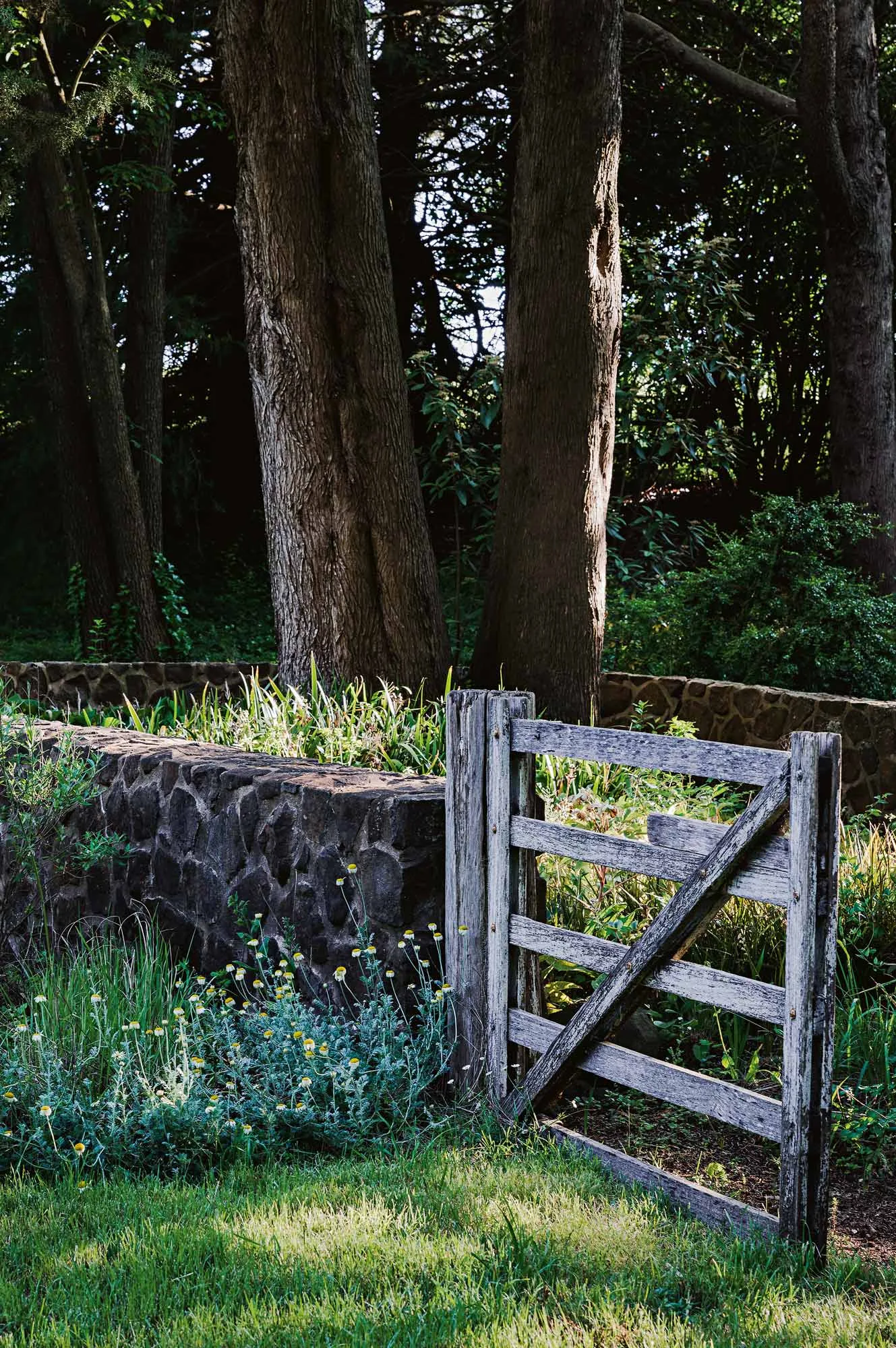 Edna Walling gardens: 3 magical landscape designs