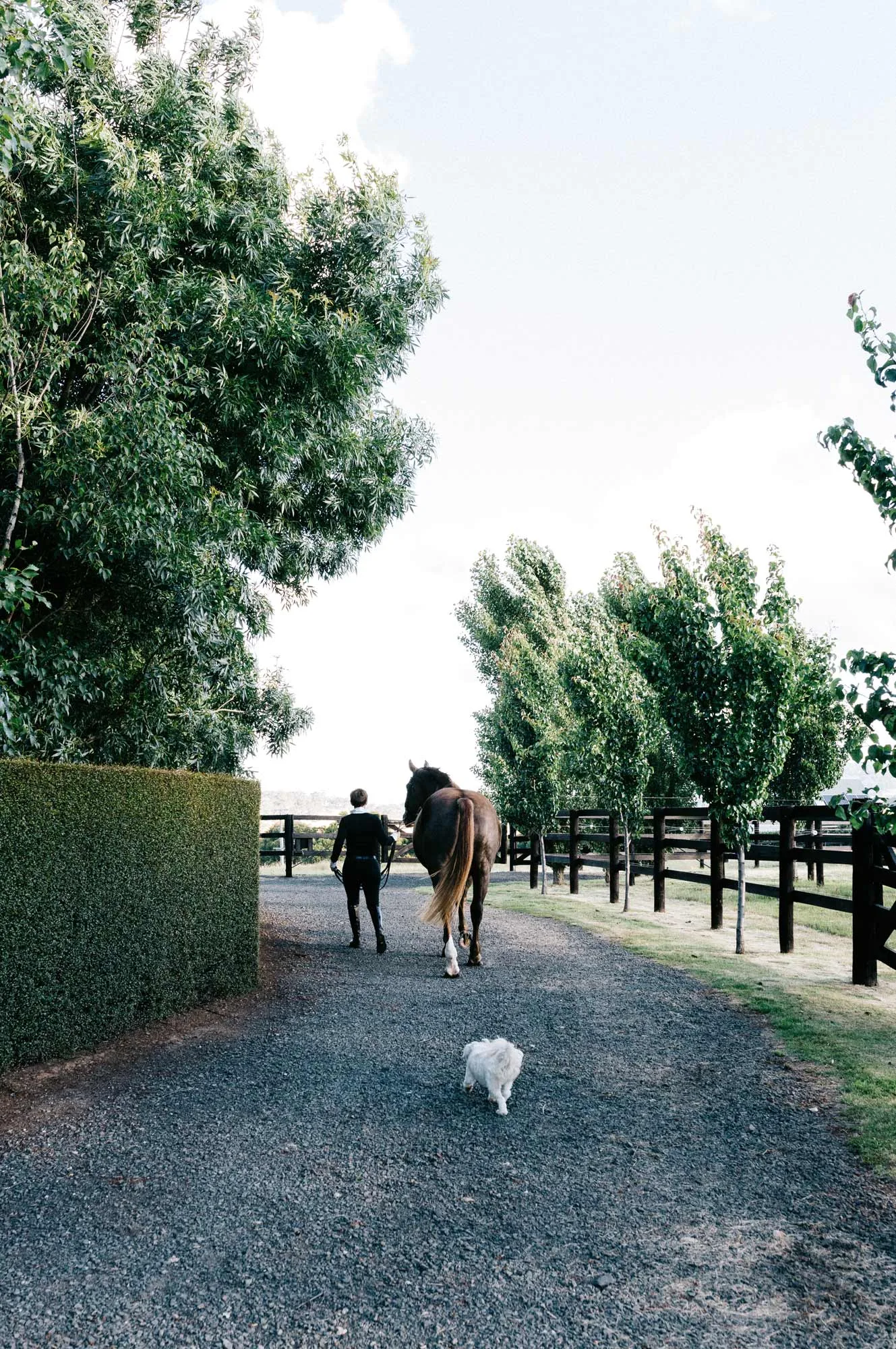 18 Country Homes Surrounded By Roaming Animals | Country Style