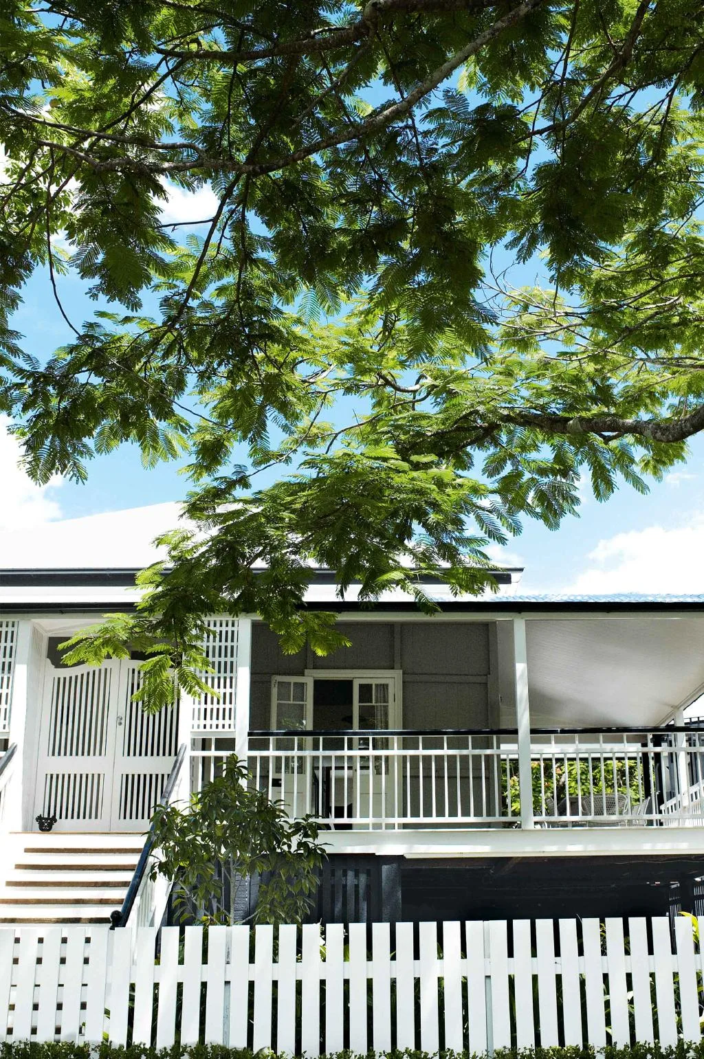 A Queenslander with a modern extension in Brisbane, QLD